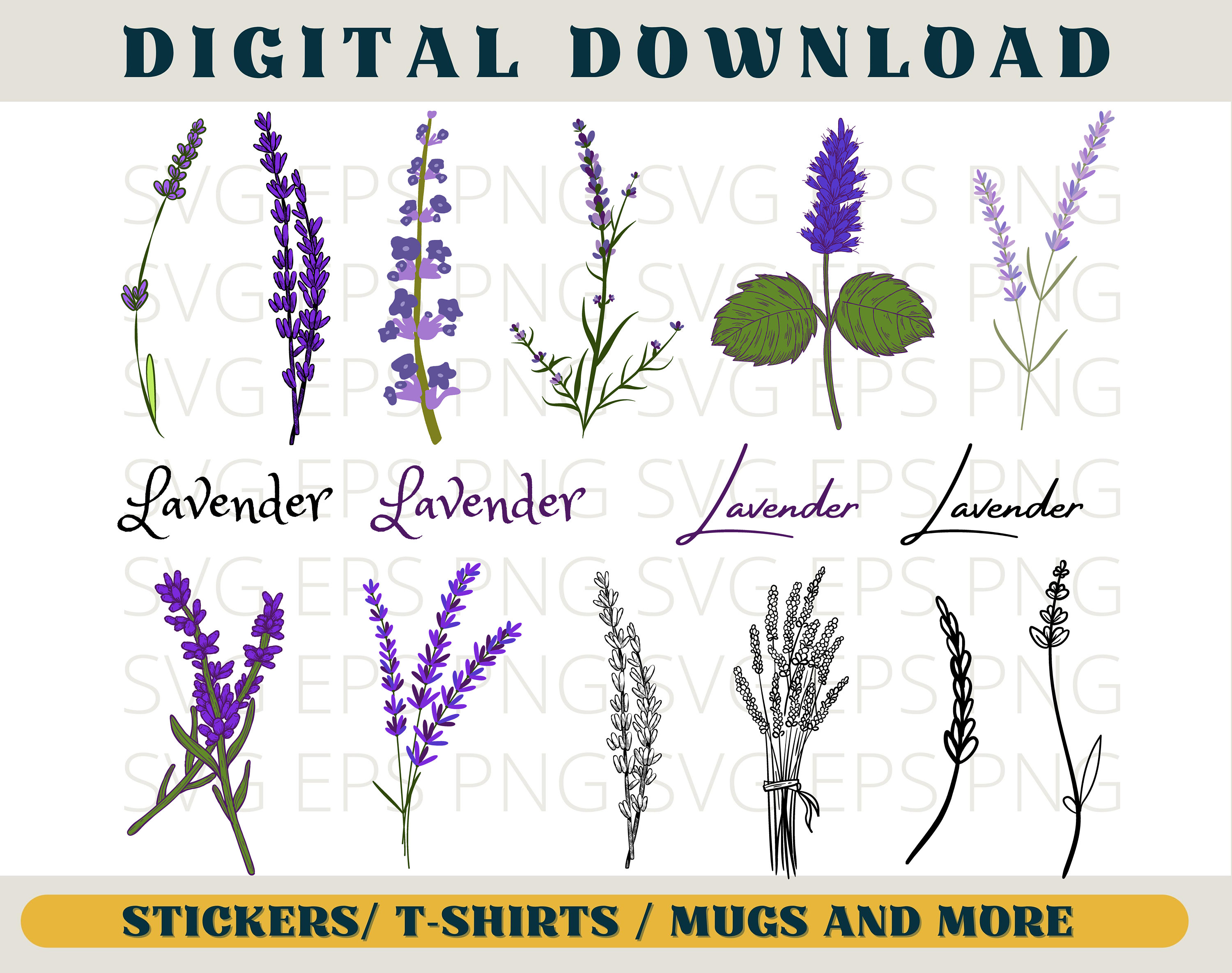 Lavender Bundle | Vintage Lavender Print | Svg Png AI | Lavender ...