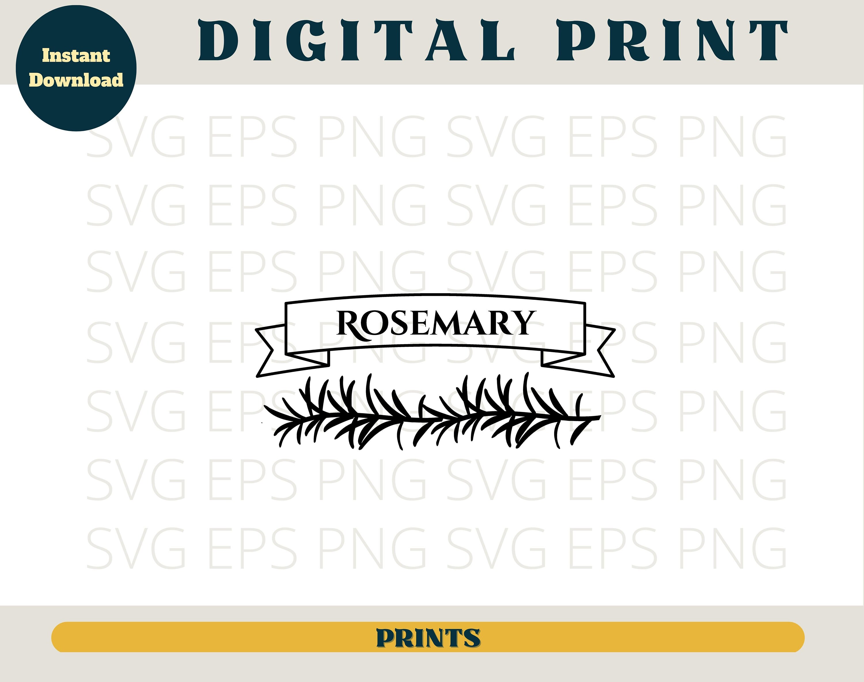 Rosemary Herb Bundle, Rosemary Print, Svg Eps Png AI, Rosemary Clip Art ...