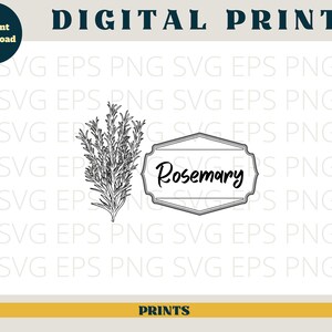 Rosemary Herb Bundle, Rosemary Print, Svg Eps Png AI, Rosemary Clip Art ...