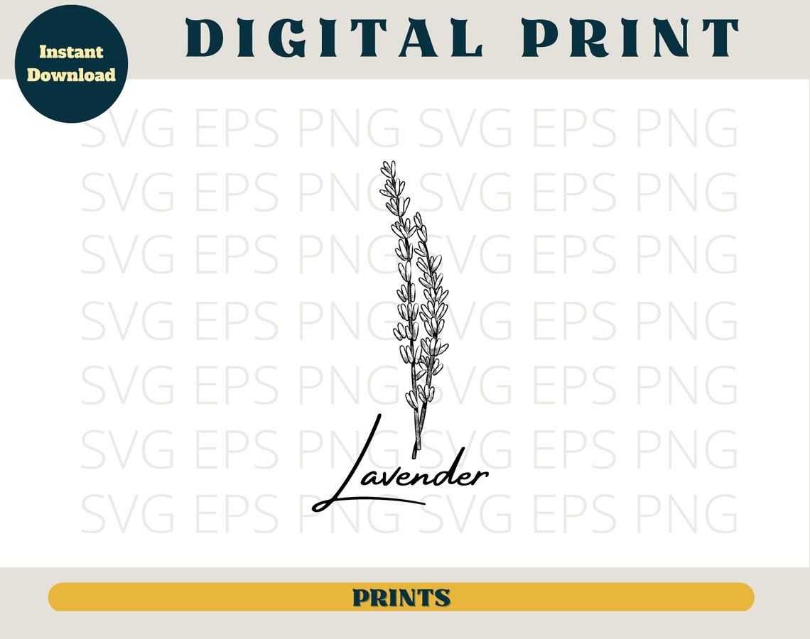 Lavender Bundle | Vintage Lavender Print | Svg Png AI | Lavender ...