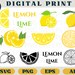 Lemon Svg, Lemon Clipart, Lemon Cricut, Lemon Png, Citrus Svg, Citrus ...