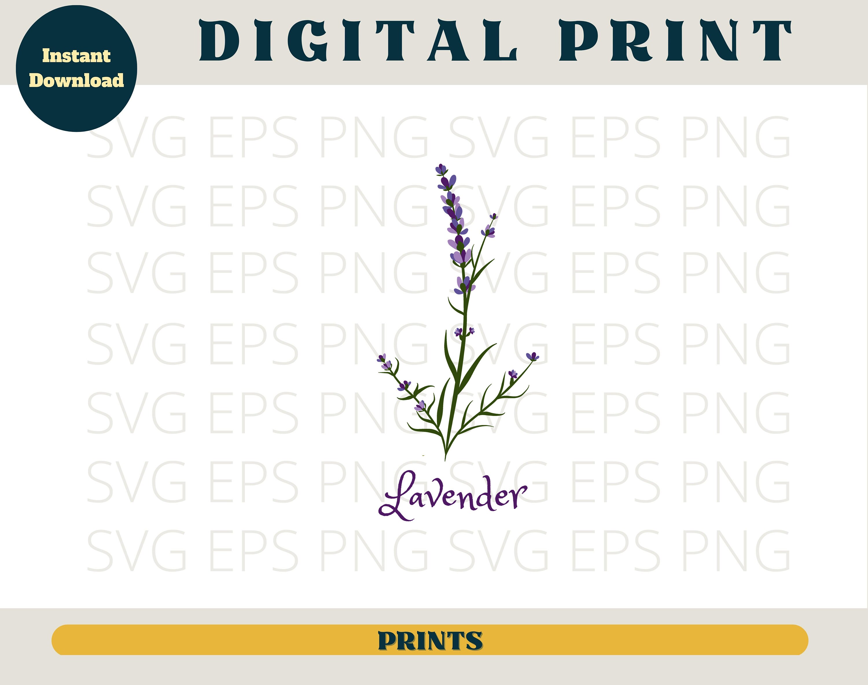 Lavender Bundle | Vintage Lavender Print | Svg Png AI | Lavender ...