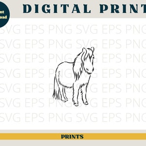 Pony Svg, Pony Clipart, Shetland Pony Svg, Miniature Horse Svg, Mini ...