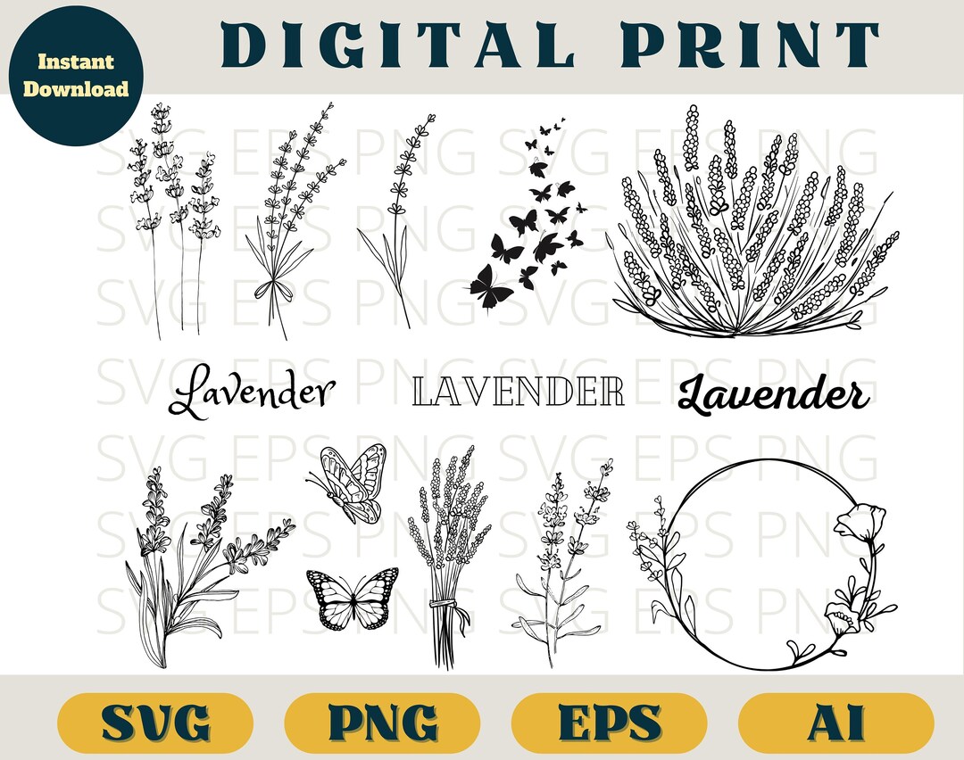 Lavender Bundle, Lavender Print, Svg Eps Png AI, Lavender Wildflower ...