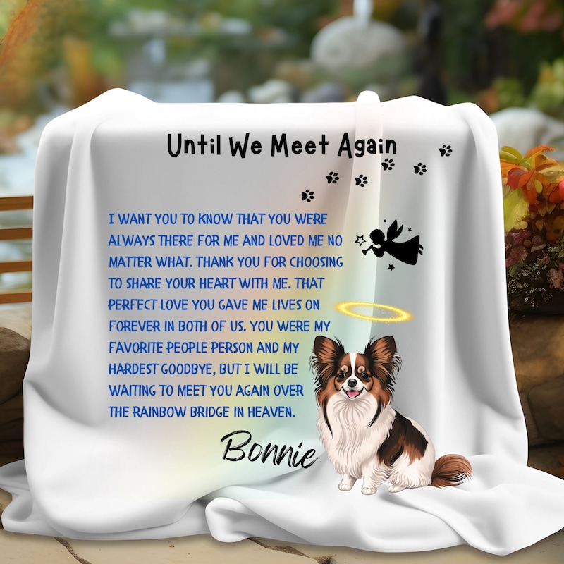 Papillon Angel - Etsy