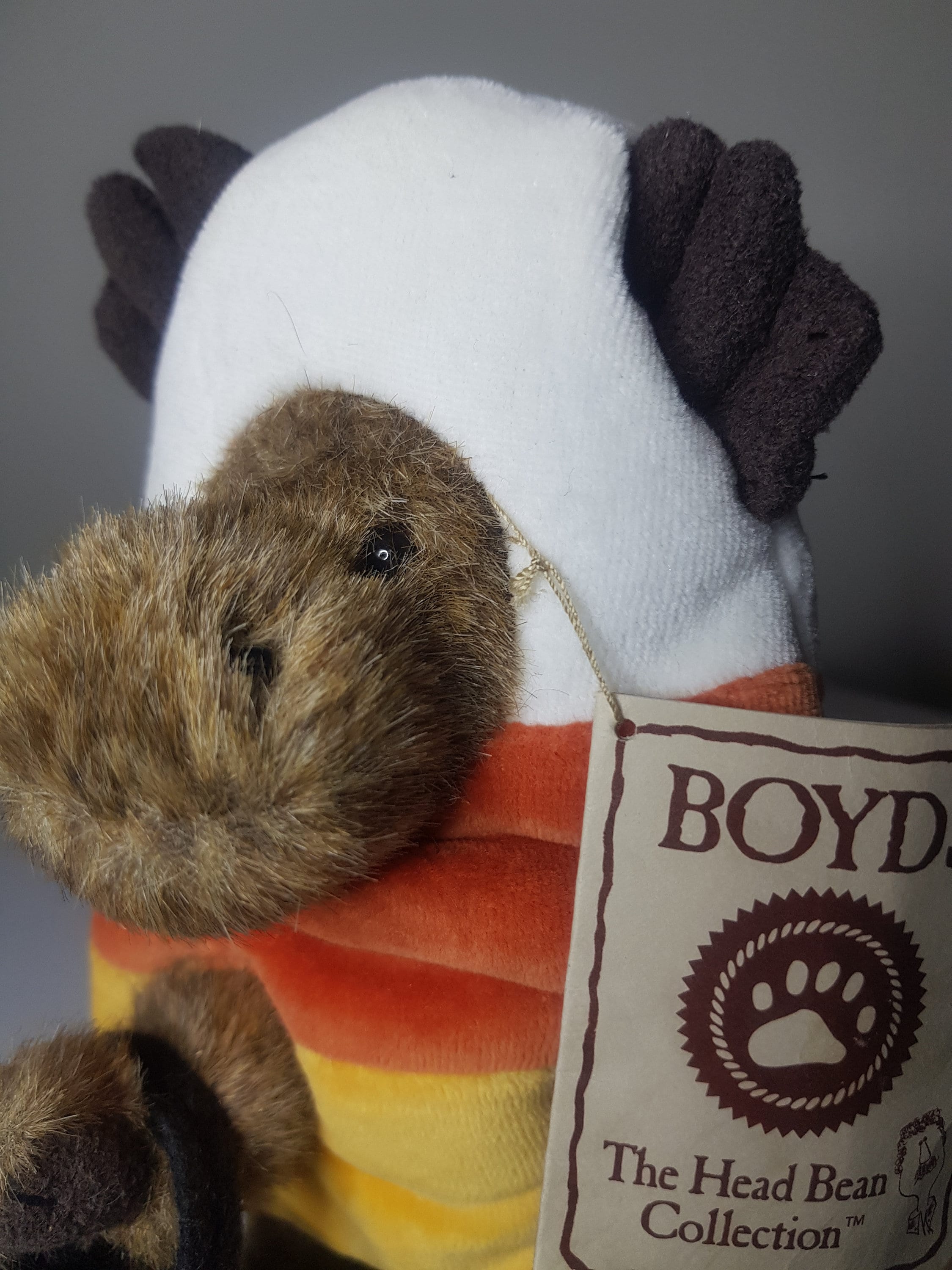 NEW Boyds Head Bean Collection Halloween - Etsy