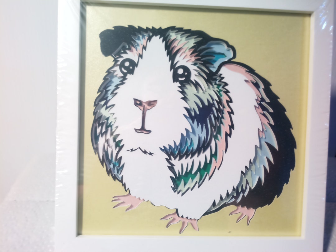 Guinea Pig, Multi Layered and Multiu Coloured Shadow Box - Etsy
