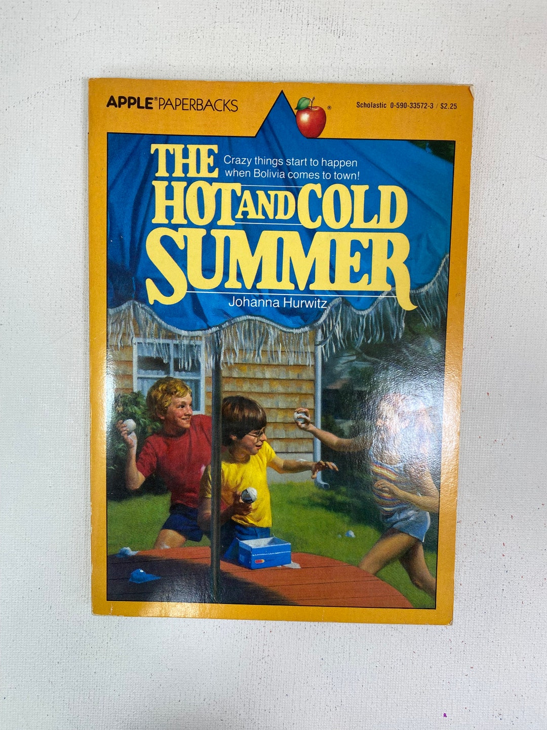 Vintage 1984 the Hot and Cold Summer Johanna Hurwitz Apple Paperbacks ...