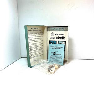 Vintage Cap'n Crunch Sea Shells Kit - Etsy