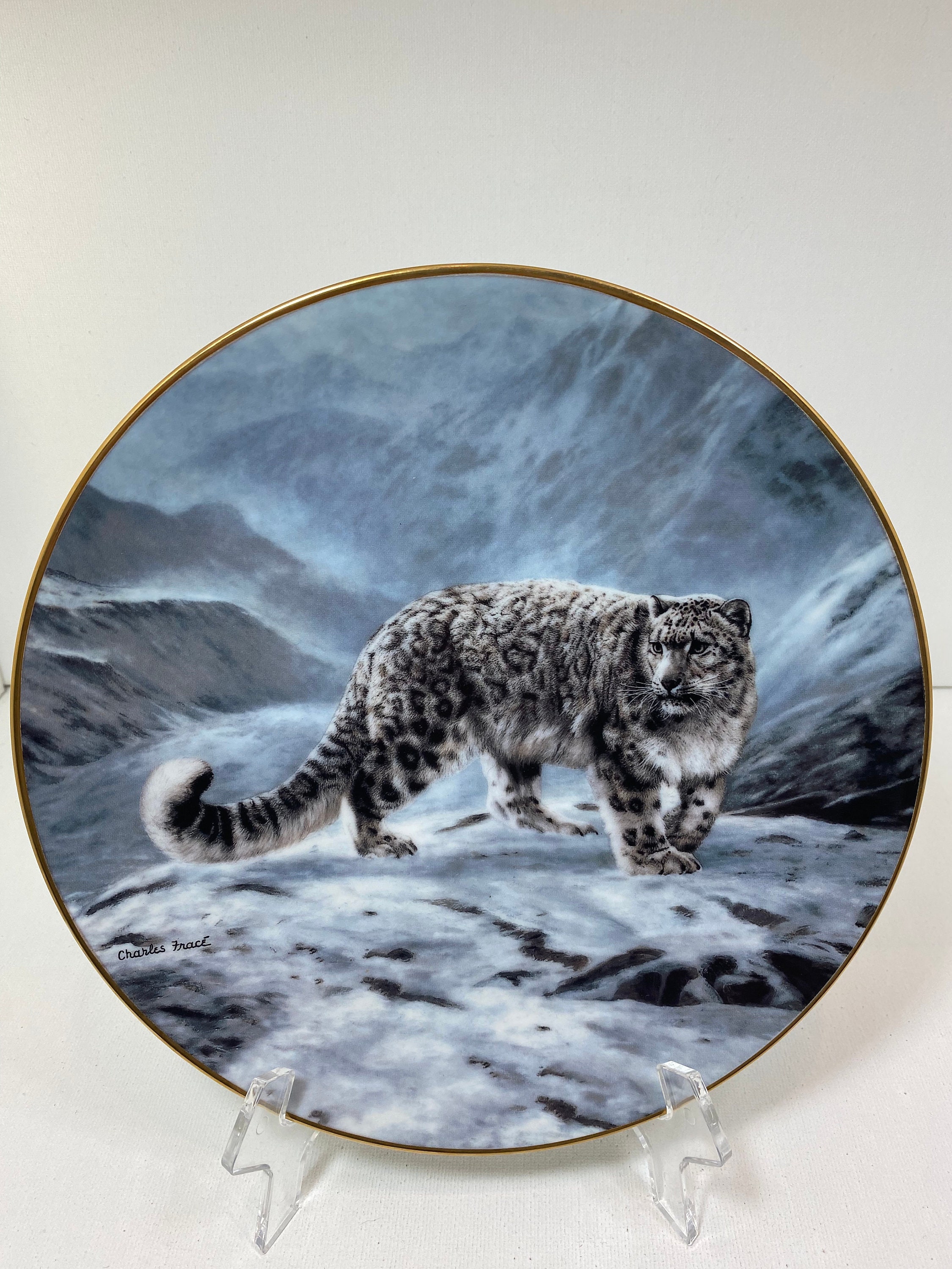 Snow Leopard Bone - Etsy