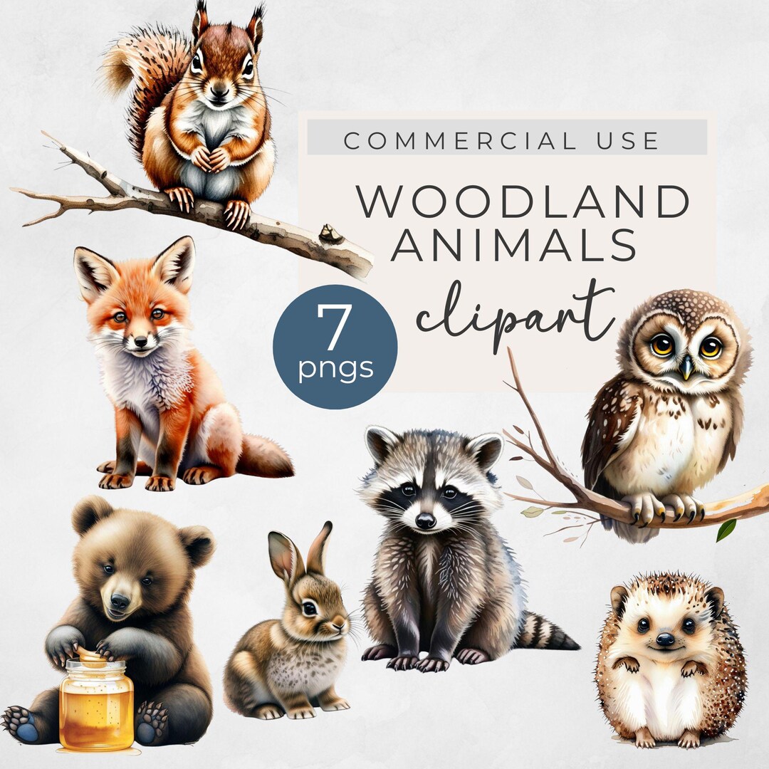 Woodland Animals Clipart Watercolor, Clipart for Commercial Use ...