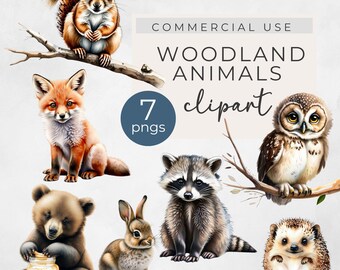 Woodland Creatures Clipart Watercolour, Clipart for Commercial Use ...