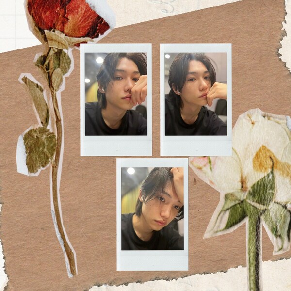 Stray Kids Felix Photocards - Etsy