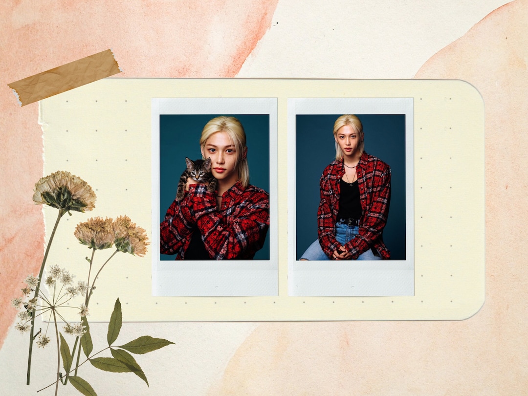 Stray Kids Felix Boyfriend Material Polaroid - Etsy