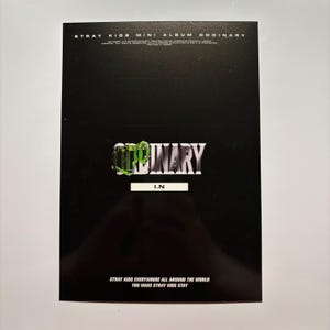 Stray Kids I.N Oddinary Official Mini Poster - Etsy