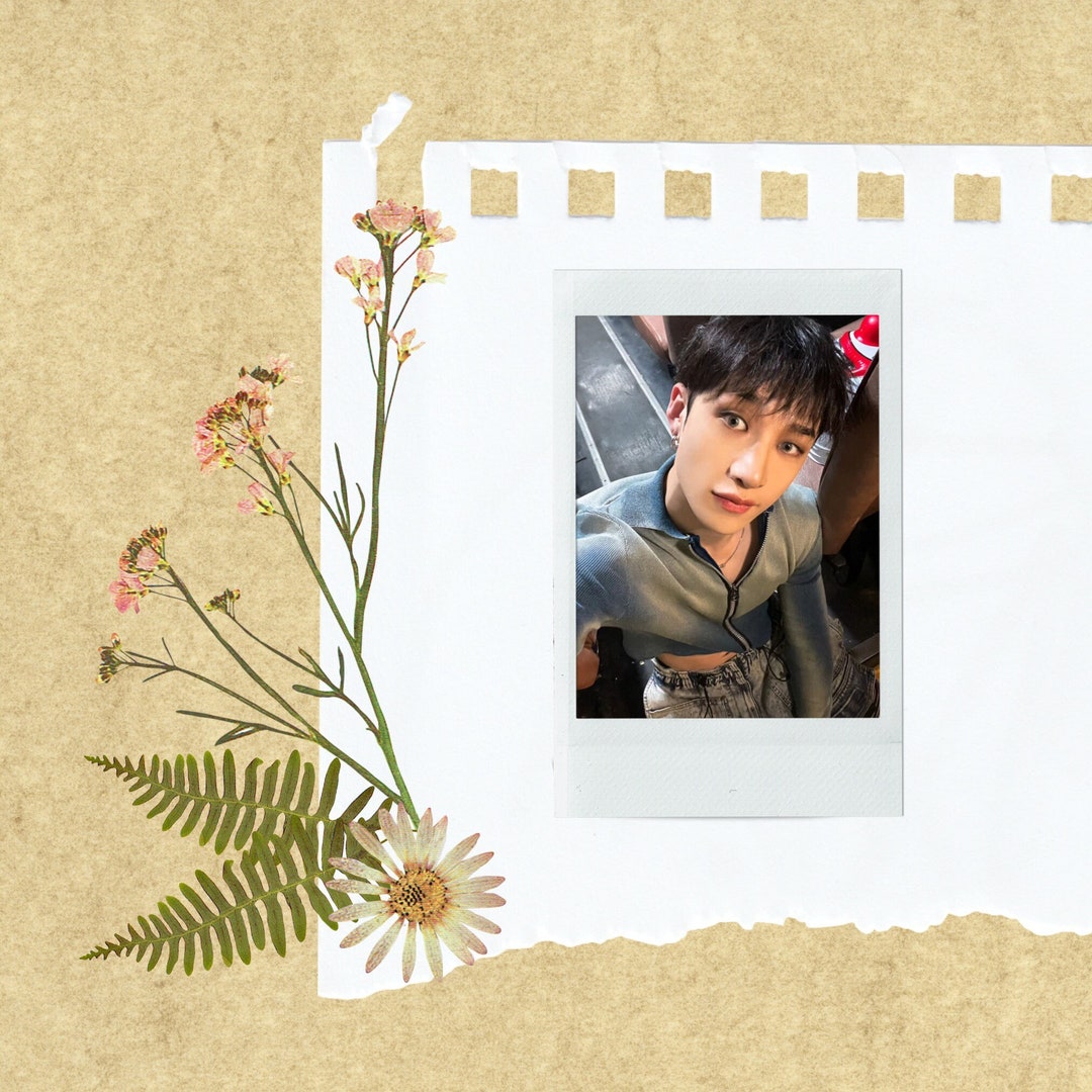 Stray Kids Bang Chan Boyfriend Material Polaroid - Etsy