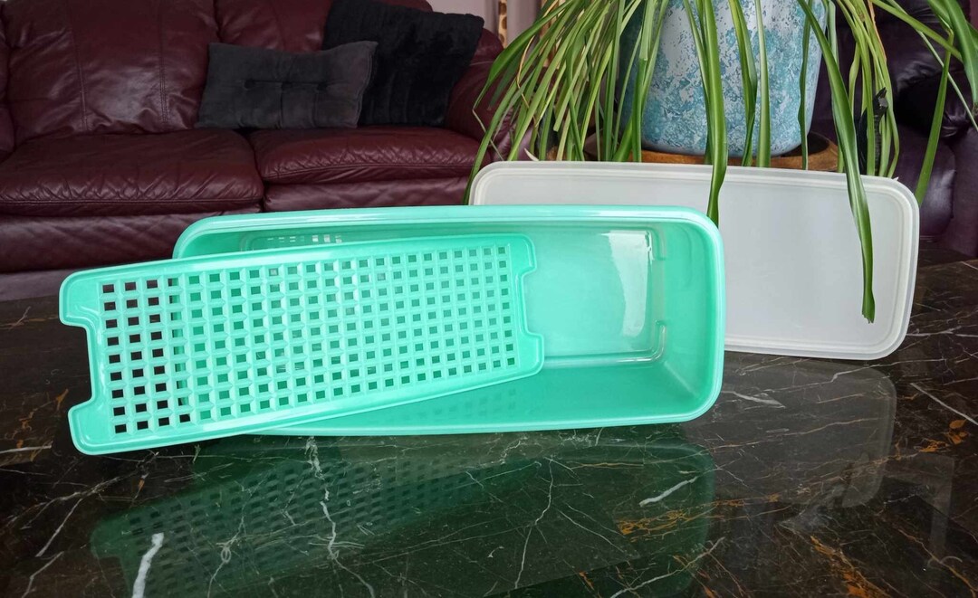 Vintage Tupperware Vegetable Keeper. Tupperware Jade Green. Tupperware ...