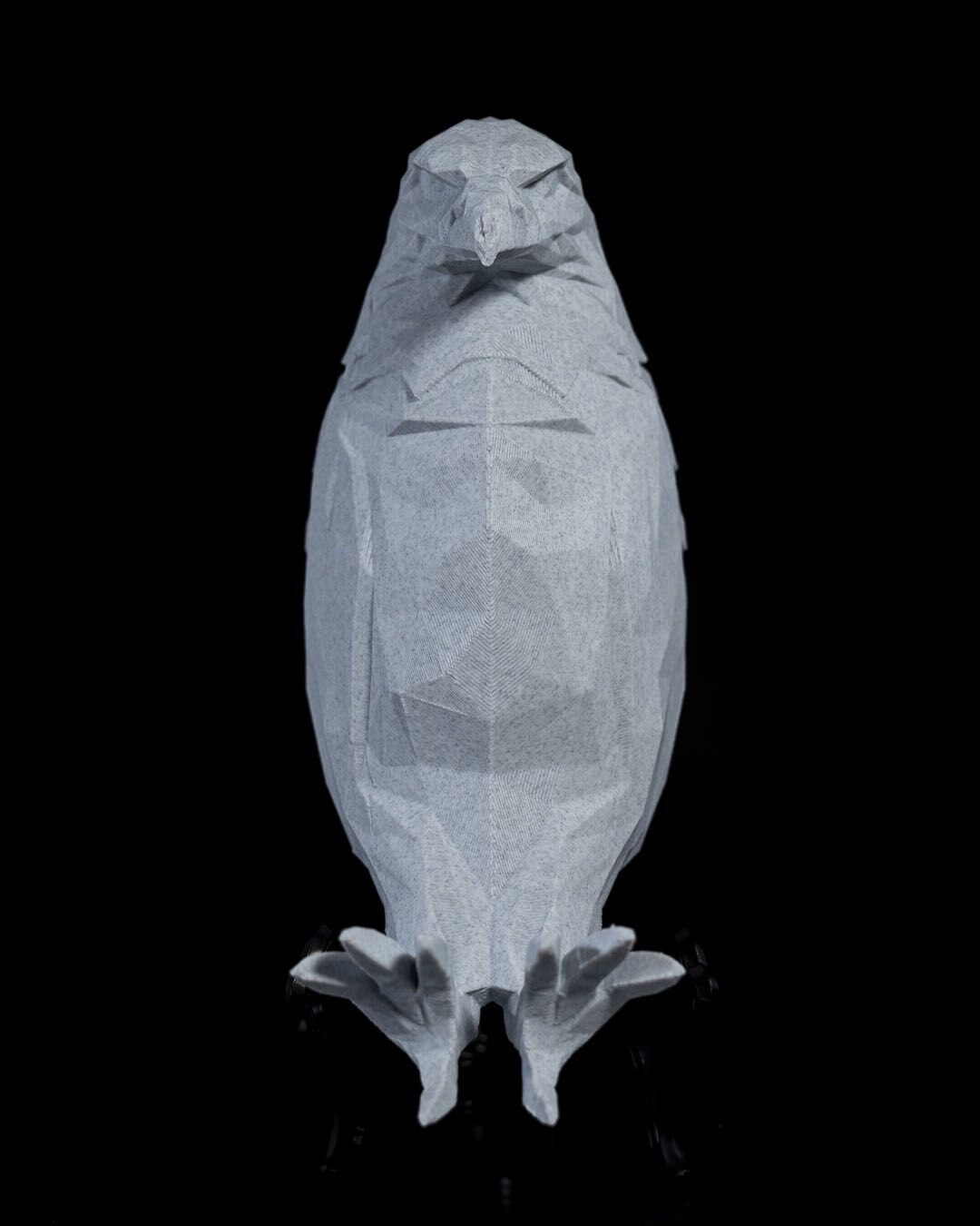 Bald Eagle 3D Printed Wall Light - Majestic Home Decor Accent - Etsy