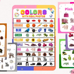 Colors Educational Poster, Crayon Theme, Classroom Decor (digital ...