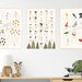 Woodland Alphabet Number Chart Primary Colors 3 Piece Wall Art ...
