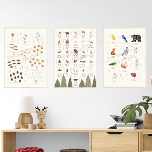 Woodland Alphabet Number Chart Primary Colors 3 Piece Wall Art ...