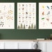 Woodland Alphabet Number Chart Primary Colors 3 Piece Wall Art ...