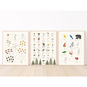Woodland Alphabet Number Chart Primary Colors 3 Piece Wall Art ...