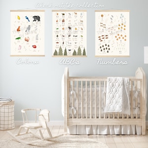 Woodland Alphabet Number Chart Primary Colors 3 Piece Wall Art ...