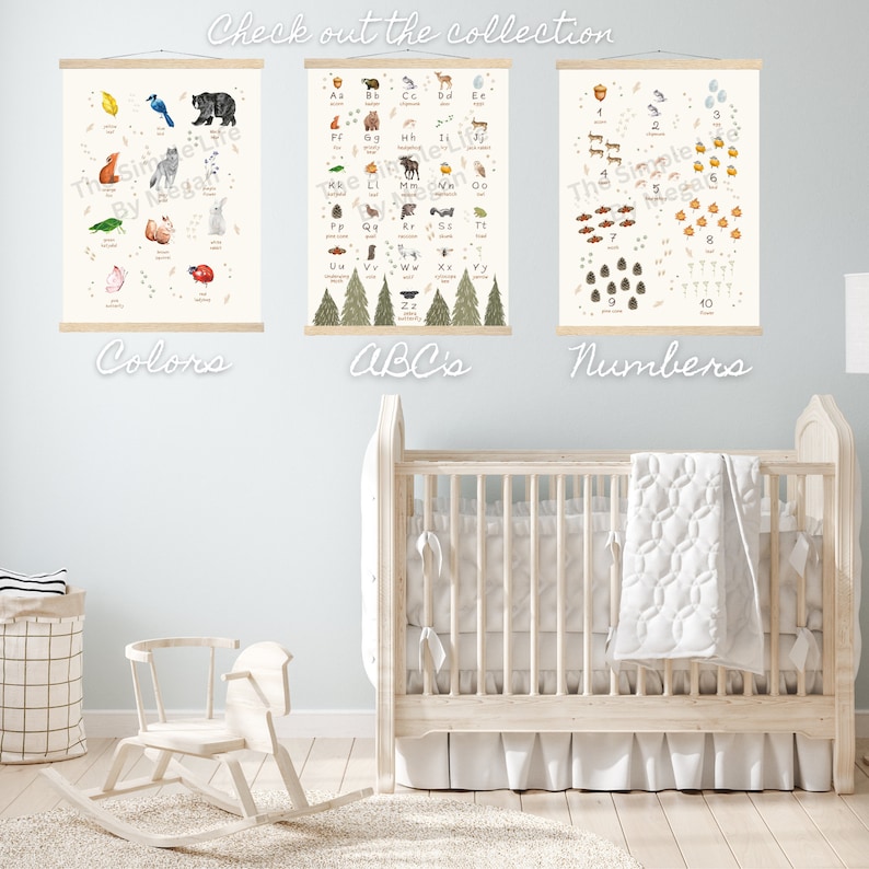 Woodland Alphabet Number Chart Primary Colors 3 Piece Wall Art - Etsy