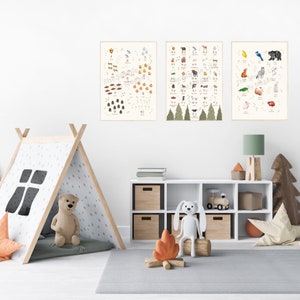 Woodland Alphabet Number Chart Primary Colors 3 Piece Wall Art ...