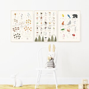 Woodland Alphabet Number Chart Primary Colors 3 Piece Wall Art ...