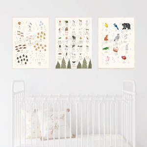Woodland Alphabet Number Chart Primary Colors 3 Piece Wall Art ...