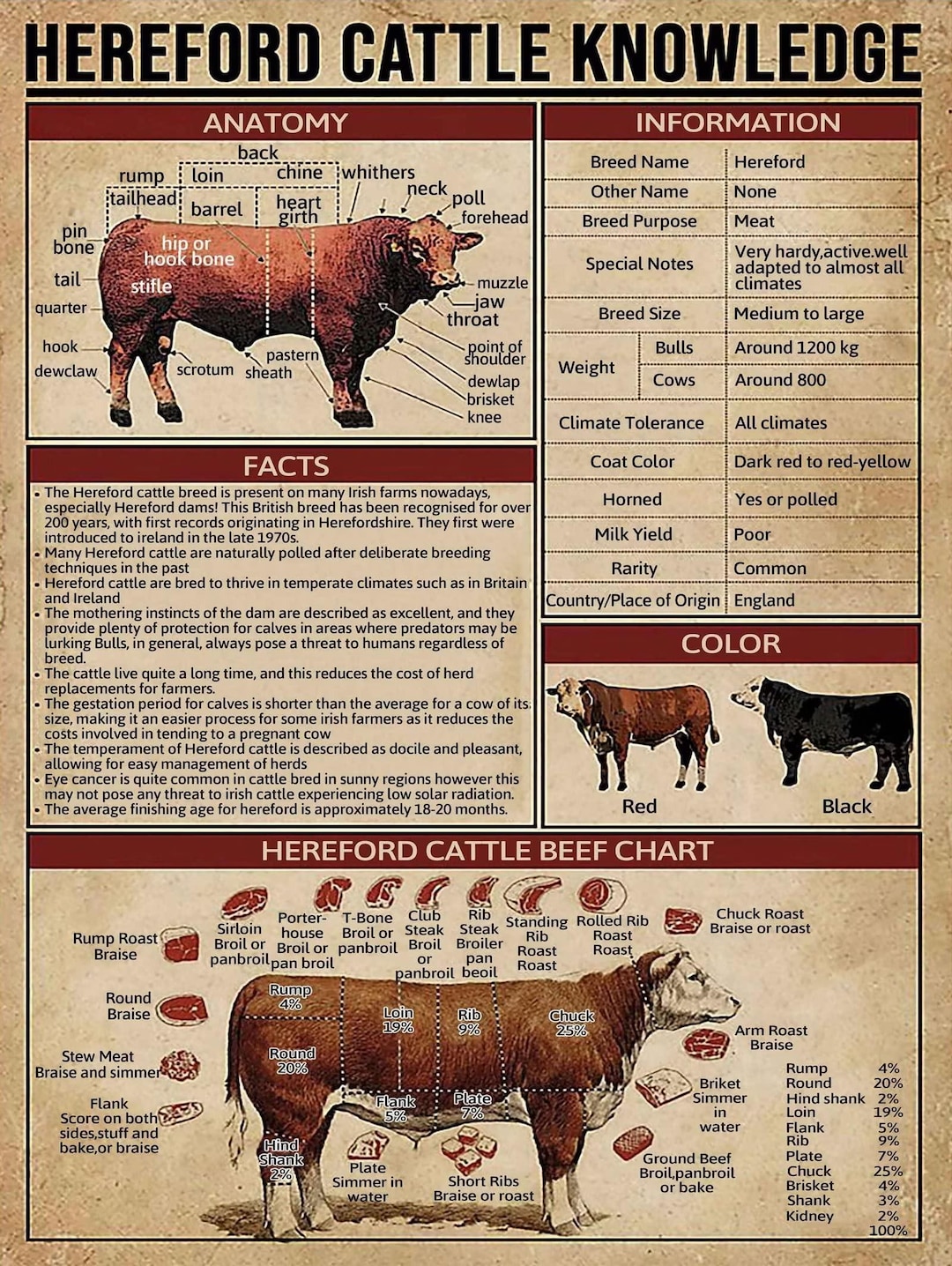 Hereford Cattle Knowledge, Vache Poster Art, Wall Decor Art Poster - Etsy