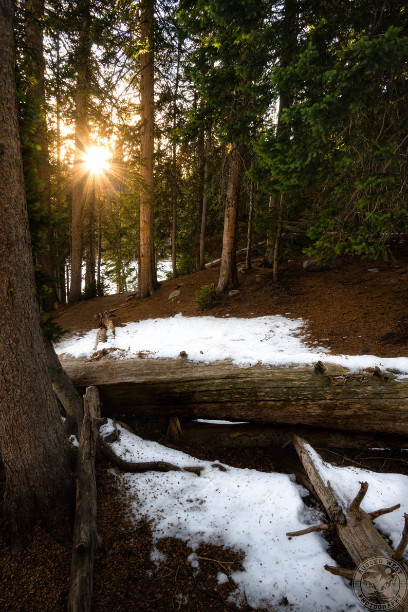 Fine Art Canvass Prints Landscape Photography Wall Art Portrait ...