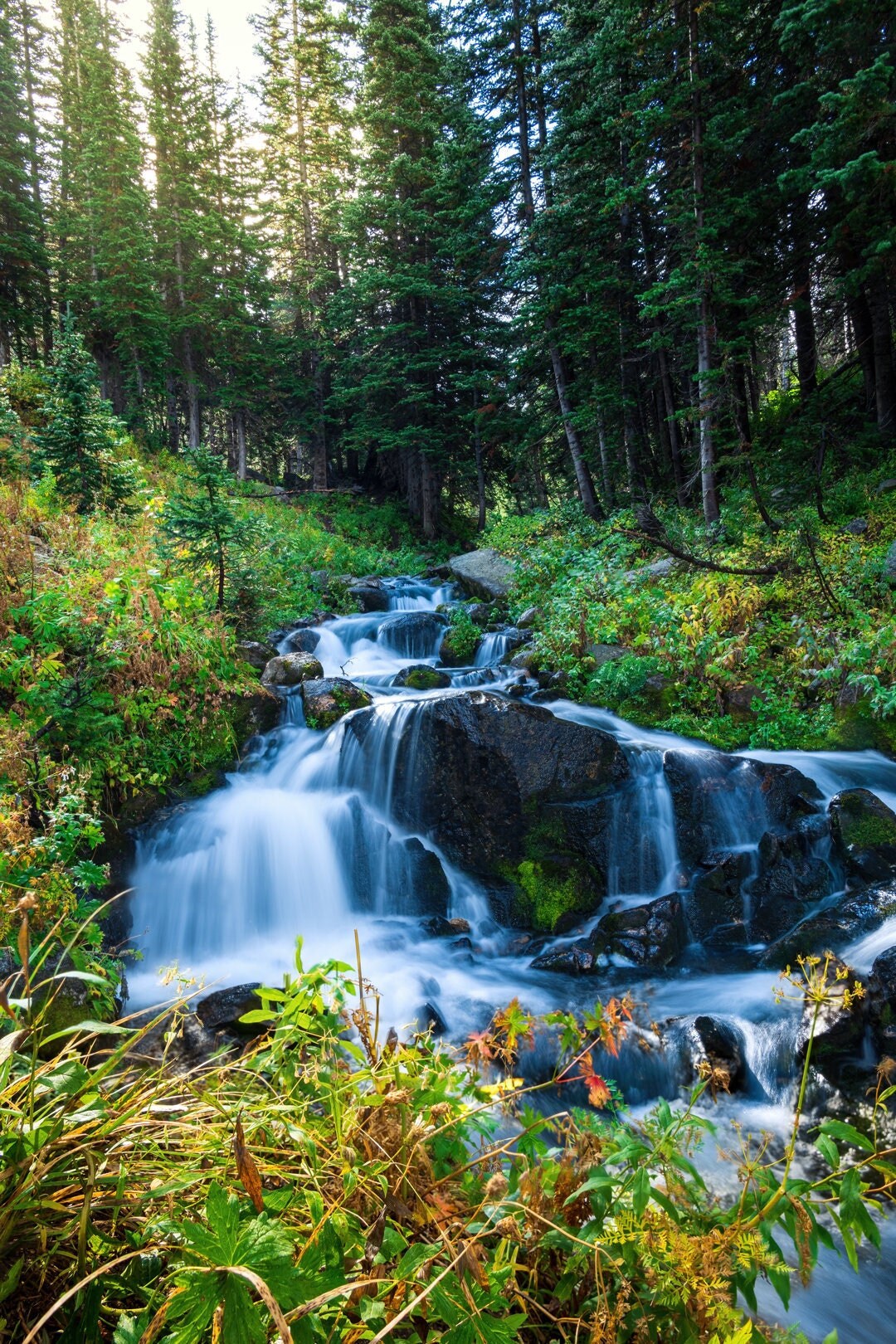 Fine Art Canvass Prints Landscape Photography Wall Art Portrait ...