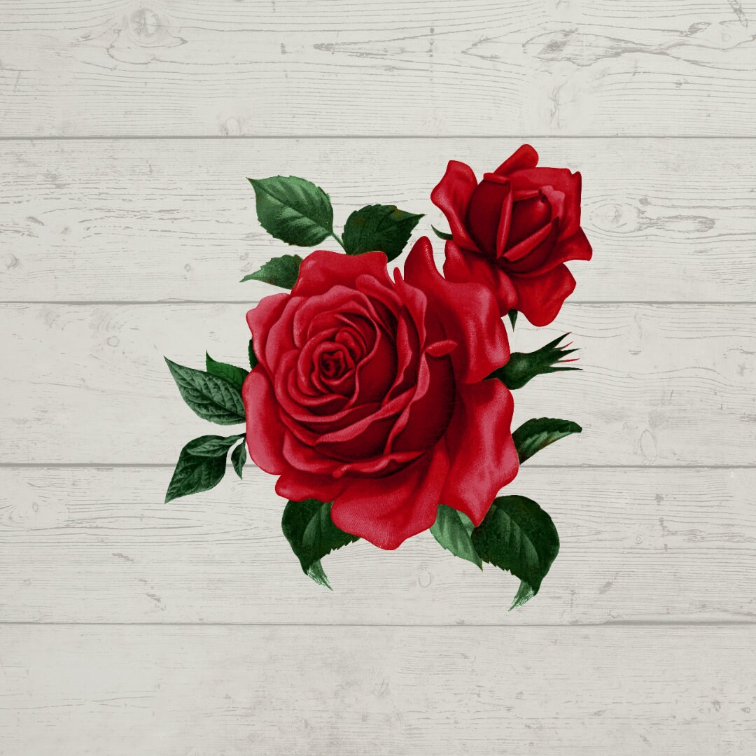 Red Rose Sticker, Rose in Skeleton Hand Stickers, Evil Hand With Rose ...