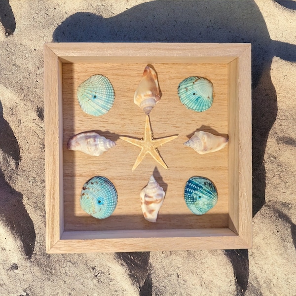 Seashell Shadow Box - Etsy