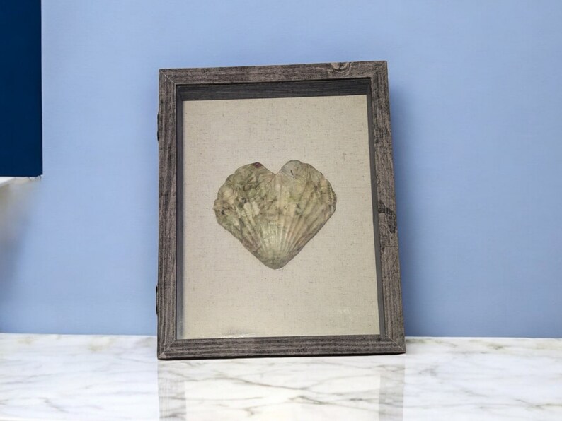Sea Shell Art Shadow Box - Etsy