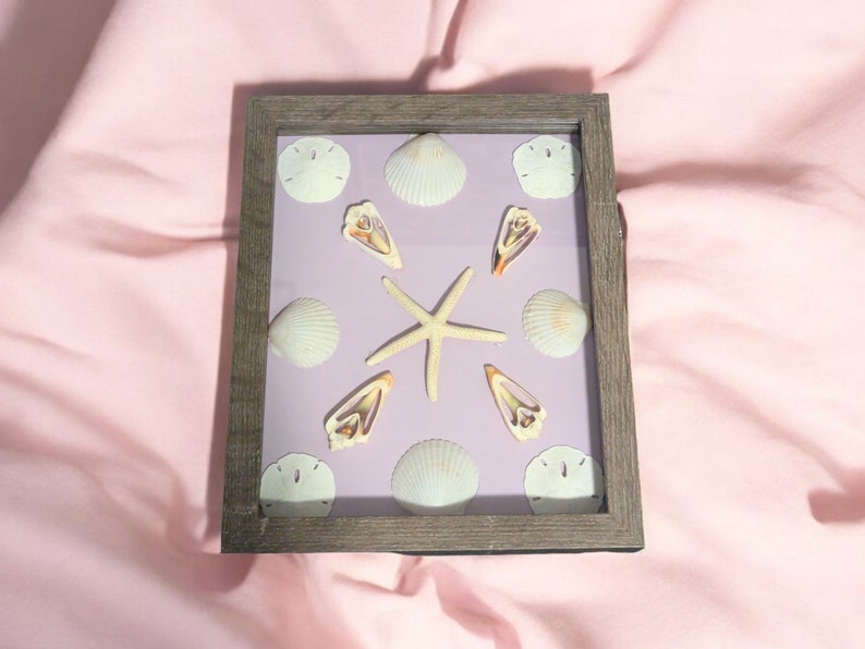 Sea Shell Art Shadow Box - Etsy