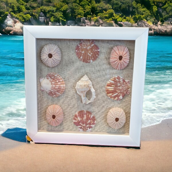 Seashell Shadow Box - Etsy
