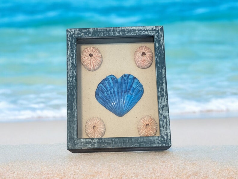 Sea Shell Art Shadow Box - Etsy