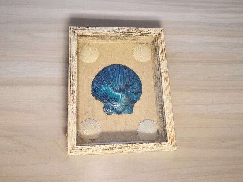 Sea Shell Art Shadow Box - Etsy
