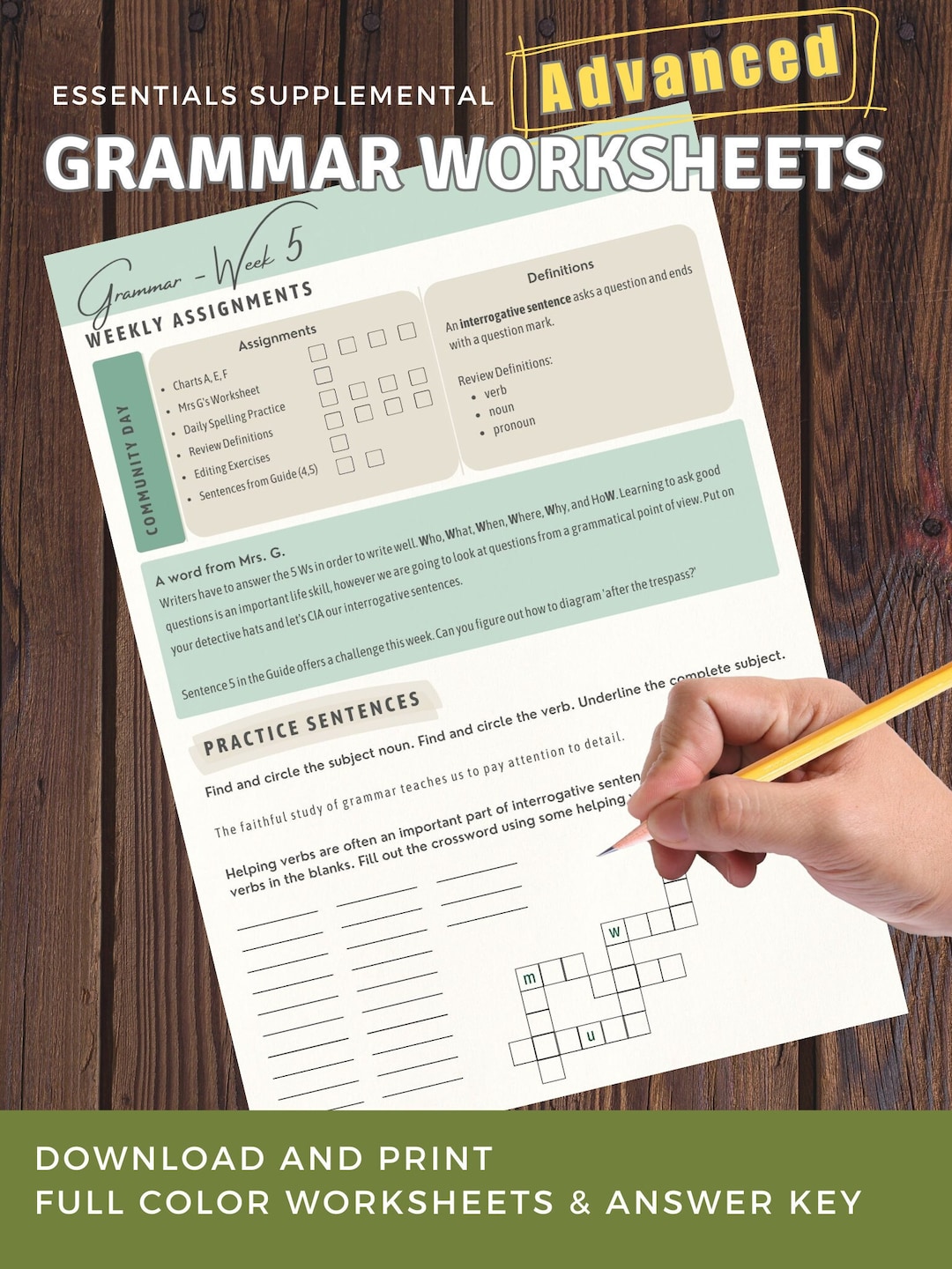 ADVANCED Essentials Supplemental Grammar Worksheets - Etsy