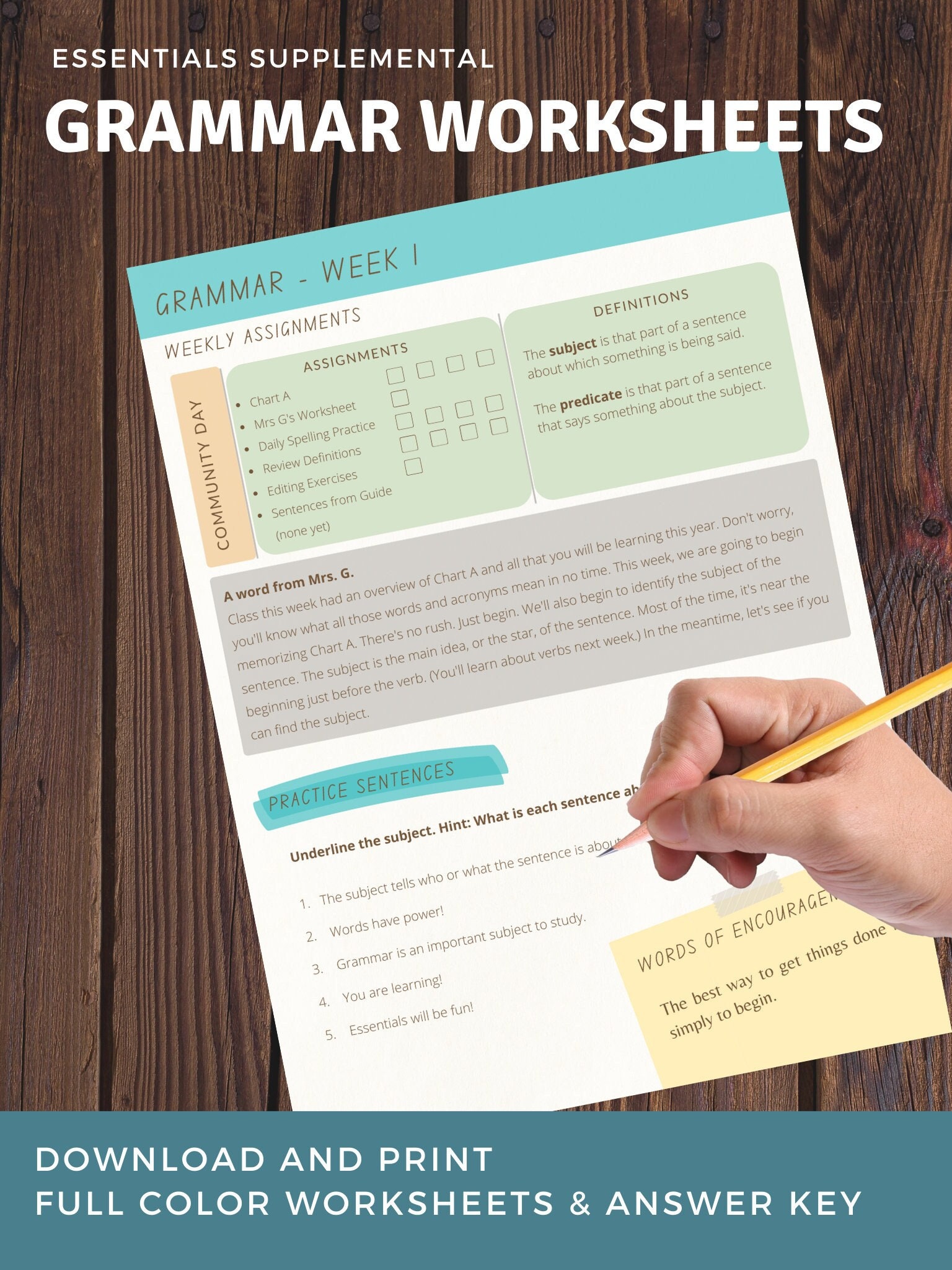 BEGINNER Essentials Supplemental Grammar Worksheets - Etsy