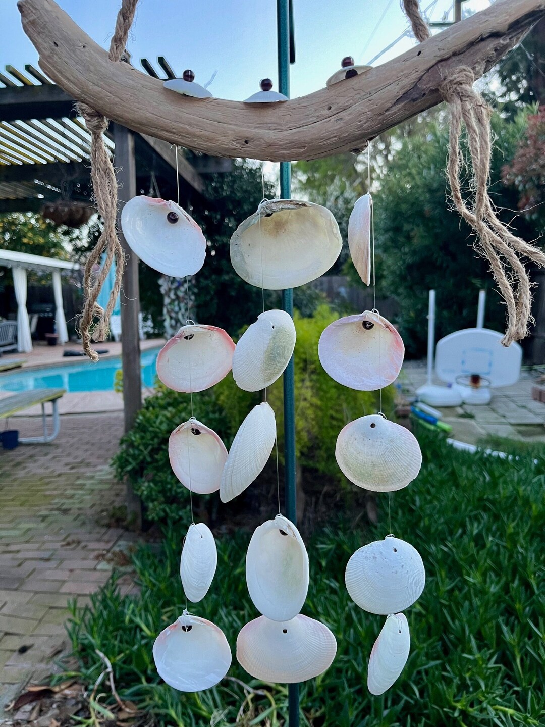 Belize Clam Shell Collection - 3 Strand Windchime - Etsy