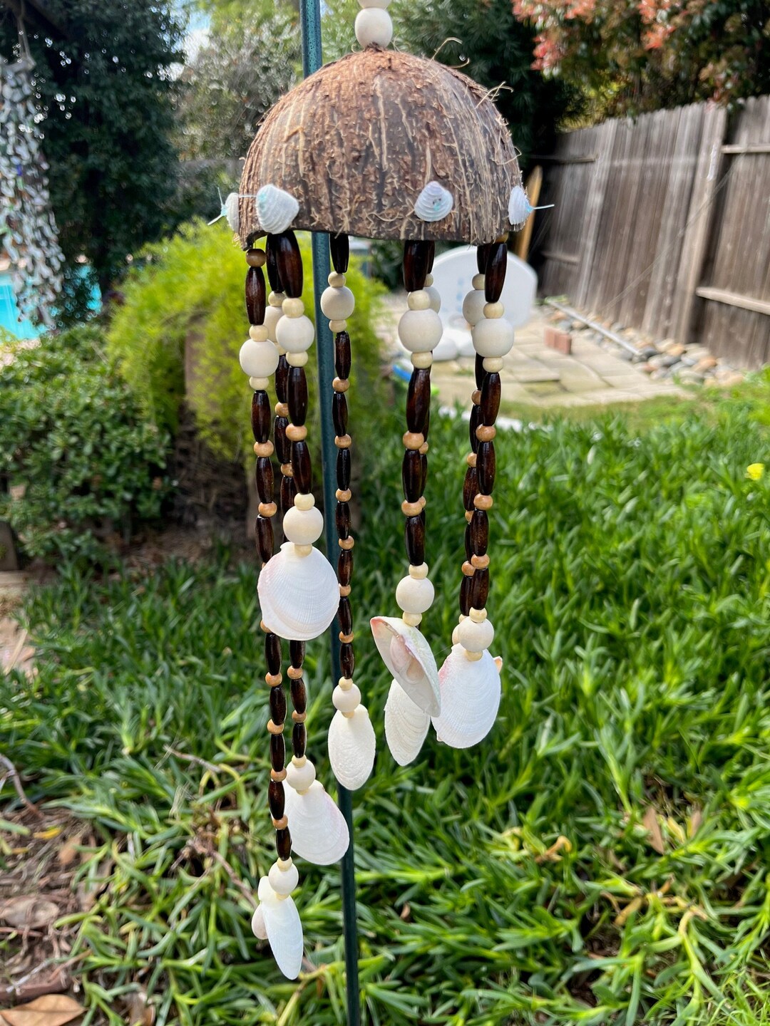 Belize Clam Shell Collection - Spiral Wind Catcher - Etsy