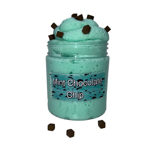 Mint Chocolate Chip Ice Cream Slime - Etsy