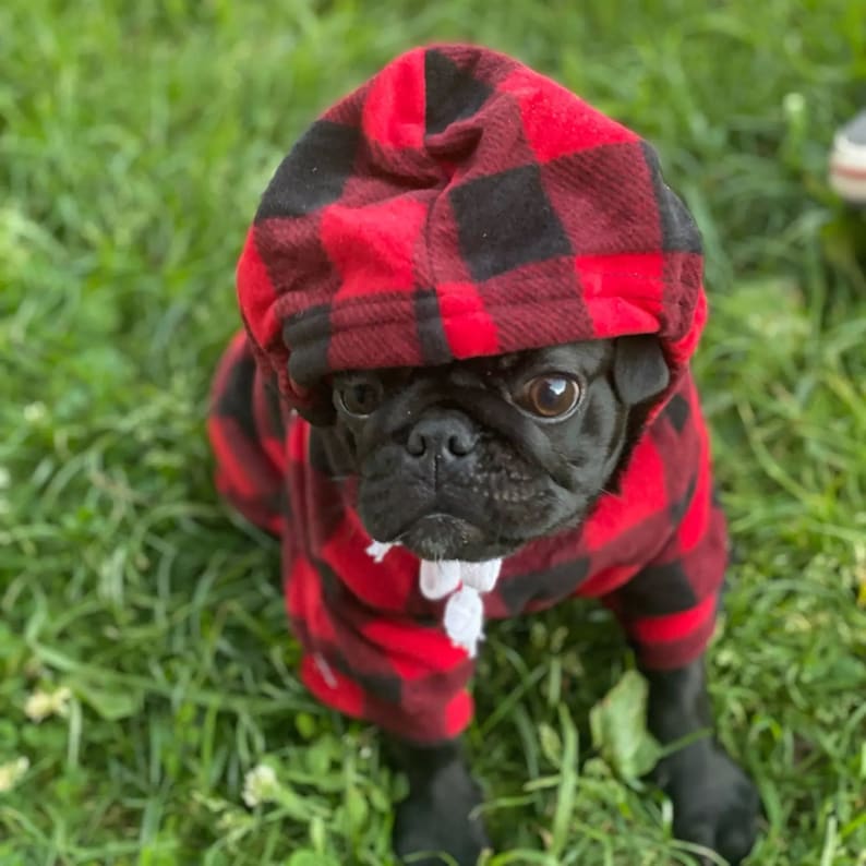 Red Plaid Dog Hoodie Jacket British Style Winter Dog Clothes - Etsy