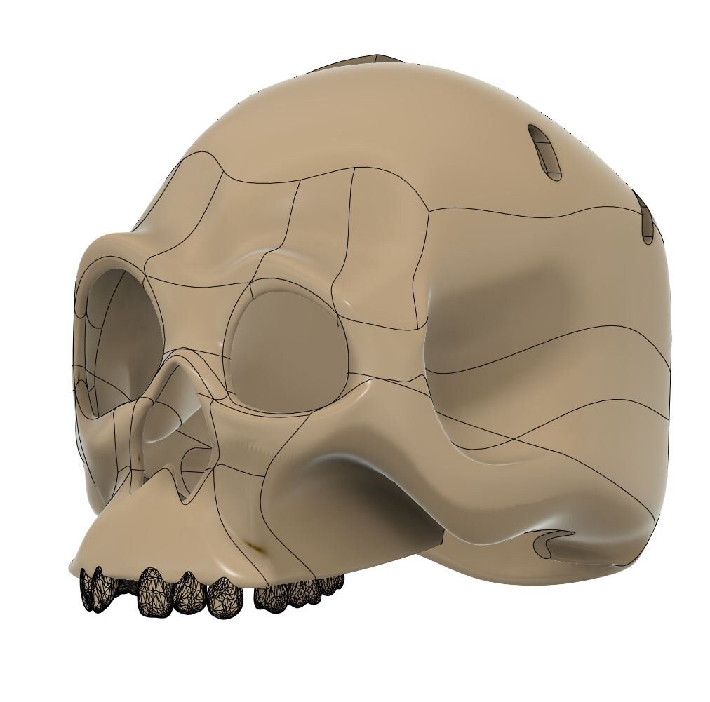 Halloween Talking Skull Disneyland's Pirates of the Caribbean Ride STL ...