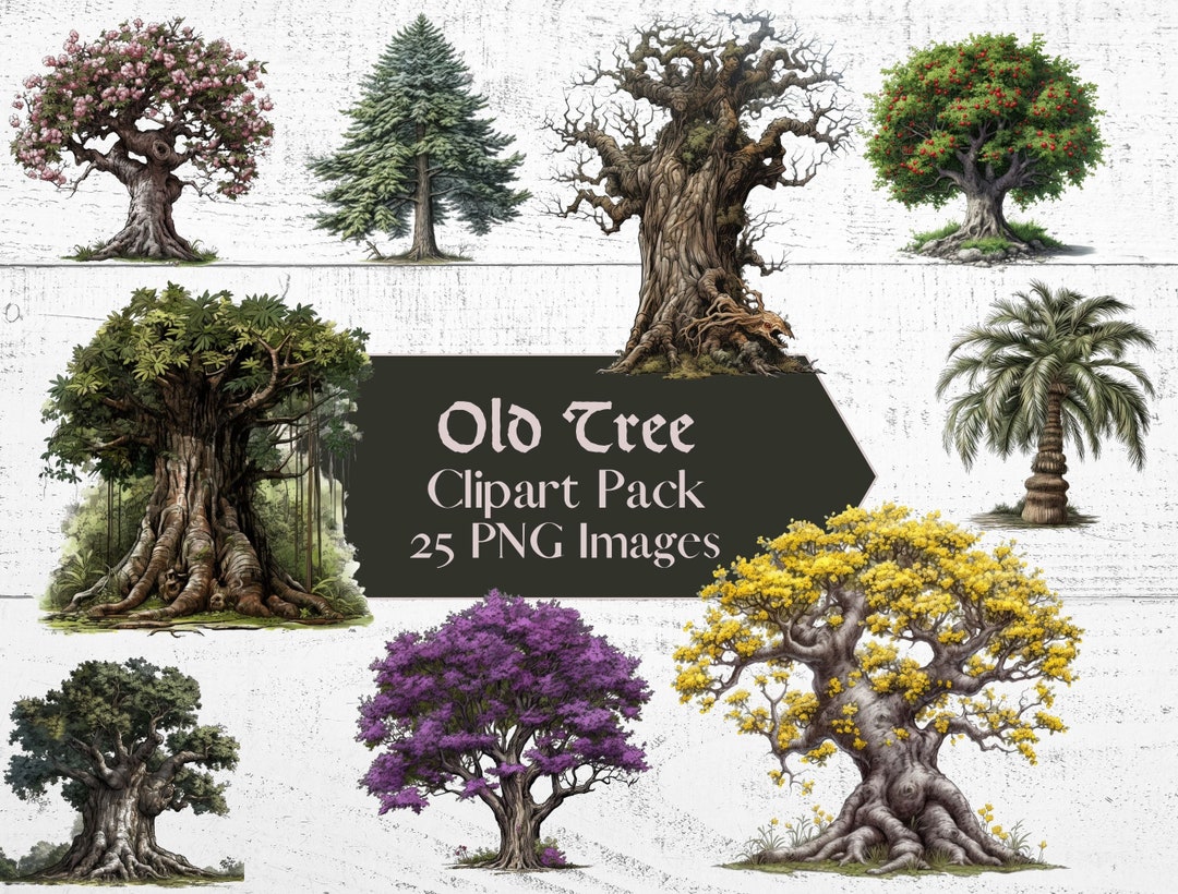 Old Tree Clipart Bundle, 25 PNG Forest Woodland Tree Plant Digital ...